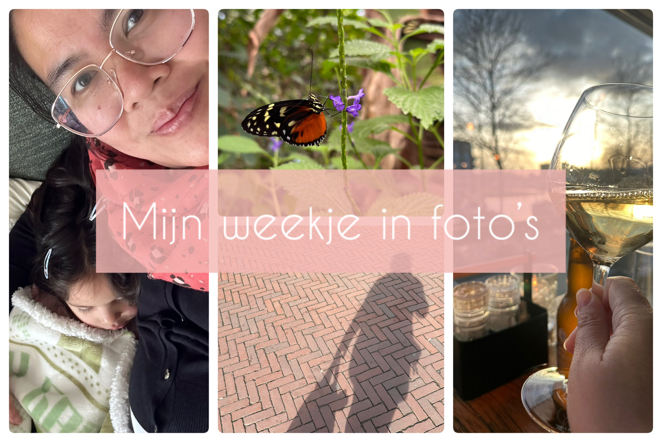 De week van Phoi Cai - photo blog 85 - Proud2Bme